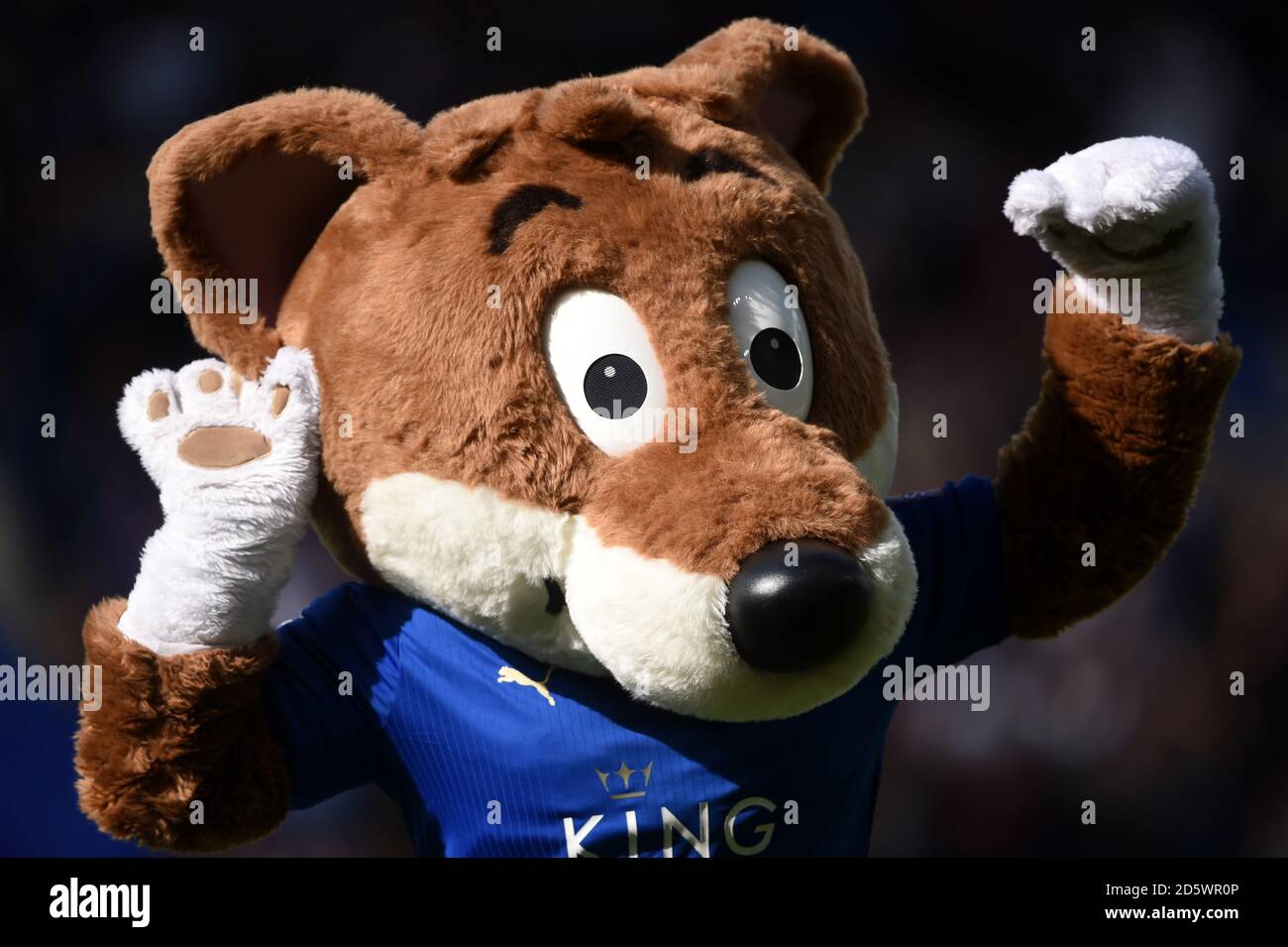 Filbert the fox hi-res stock photography and images - Alamy