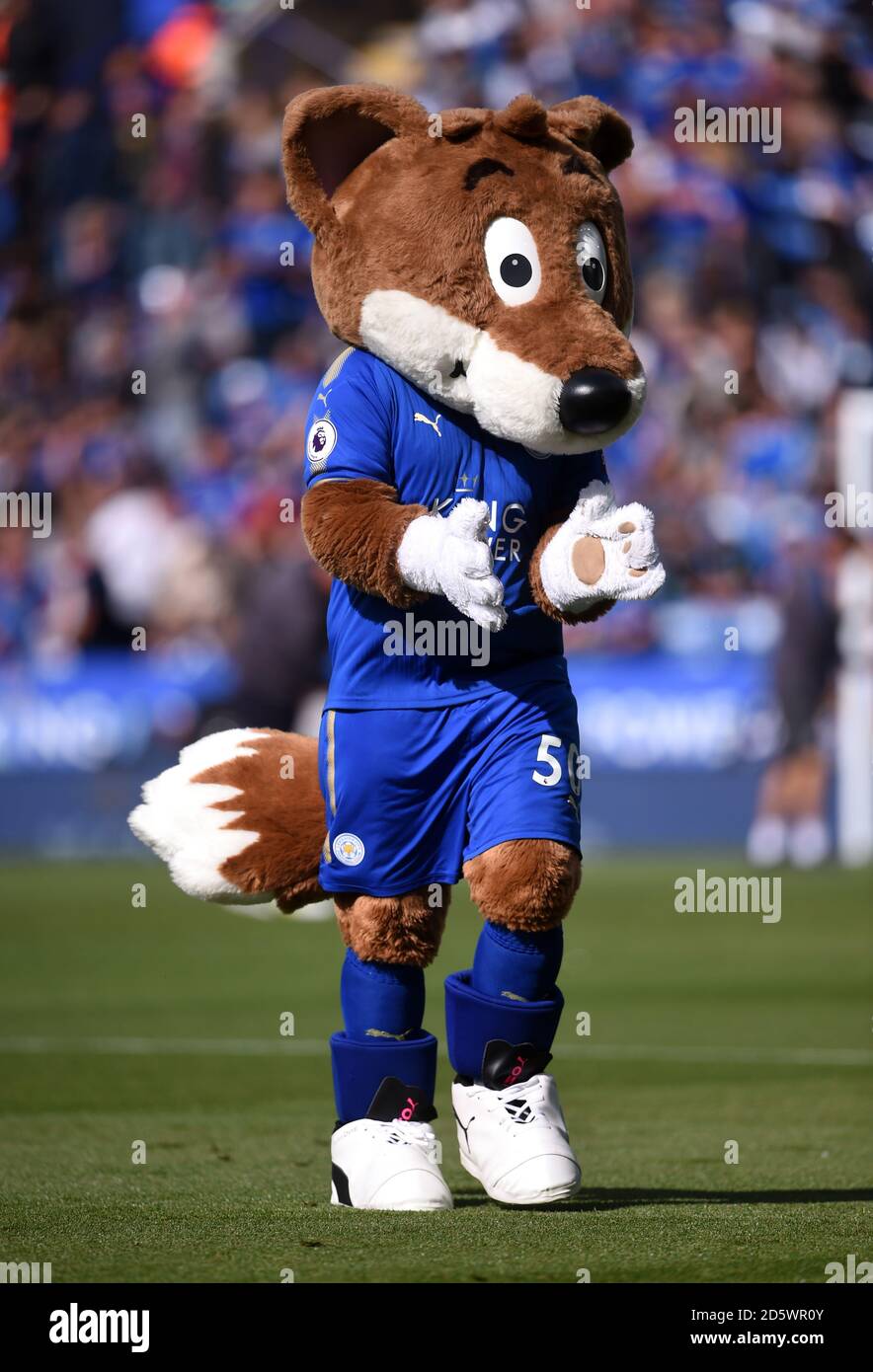Leicester city mascot hi-res stock photography and images - Alamy