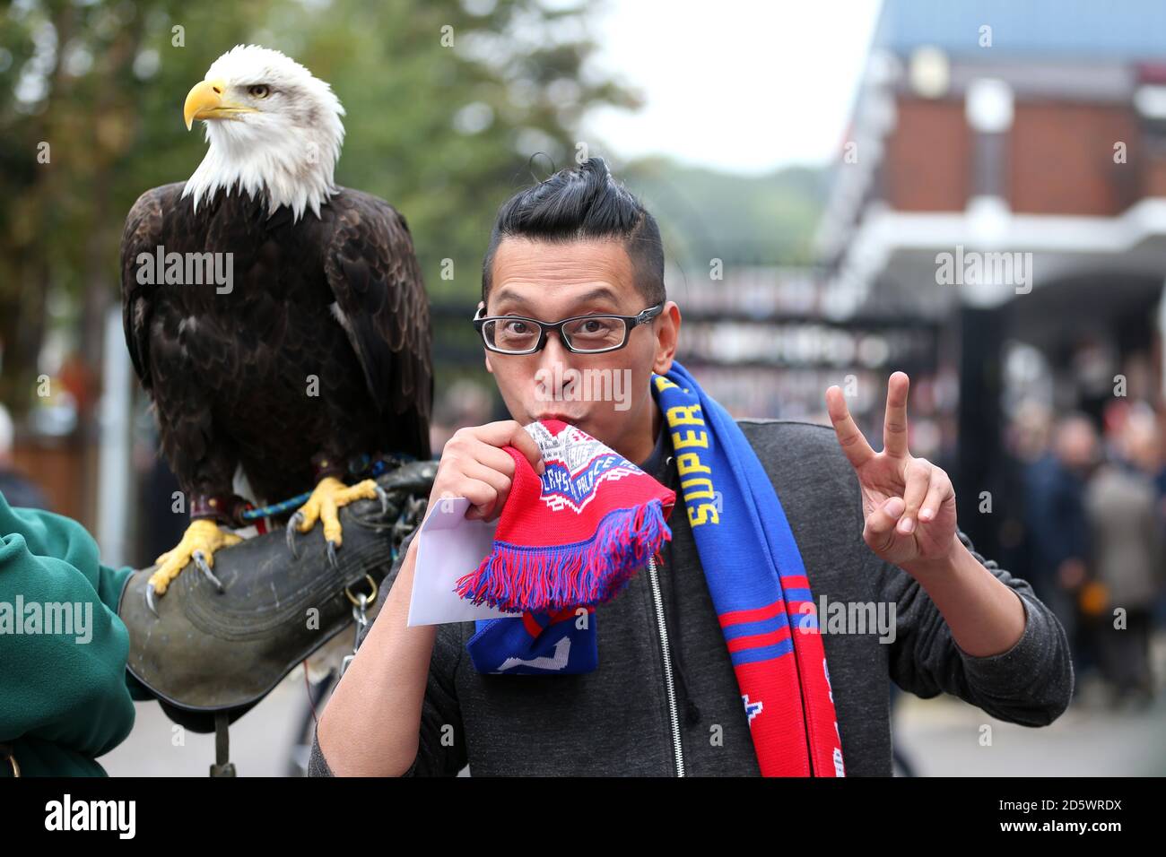 Crystal palace mascot Kayla the American Bald Eagle with a fan before ...