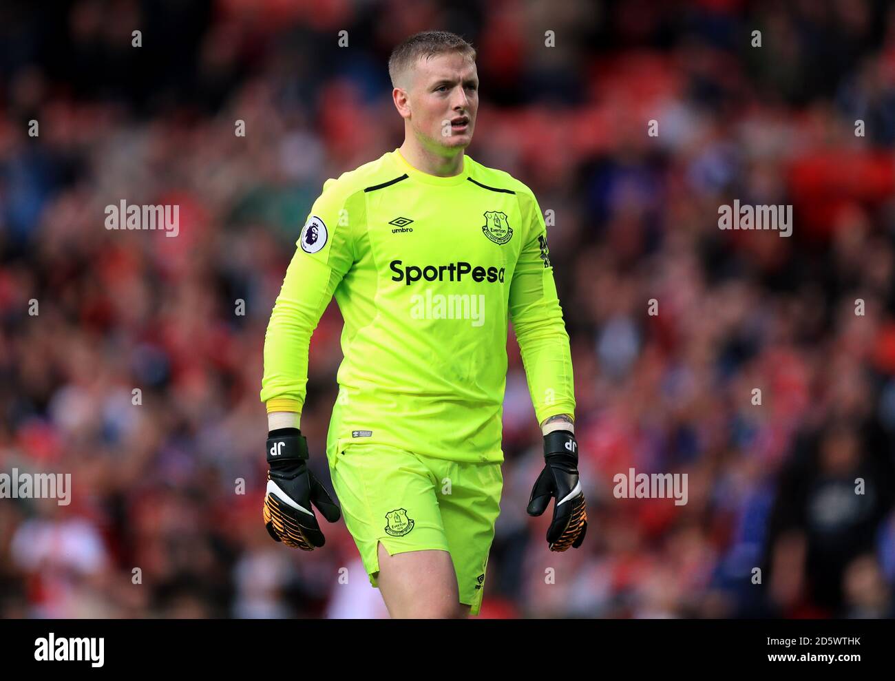 Everton goalkeeper Jordan Pickford Stock Photo - Alamy