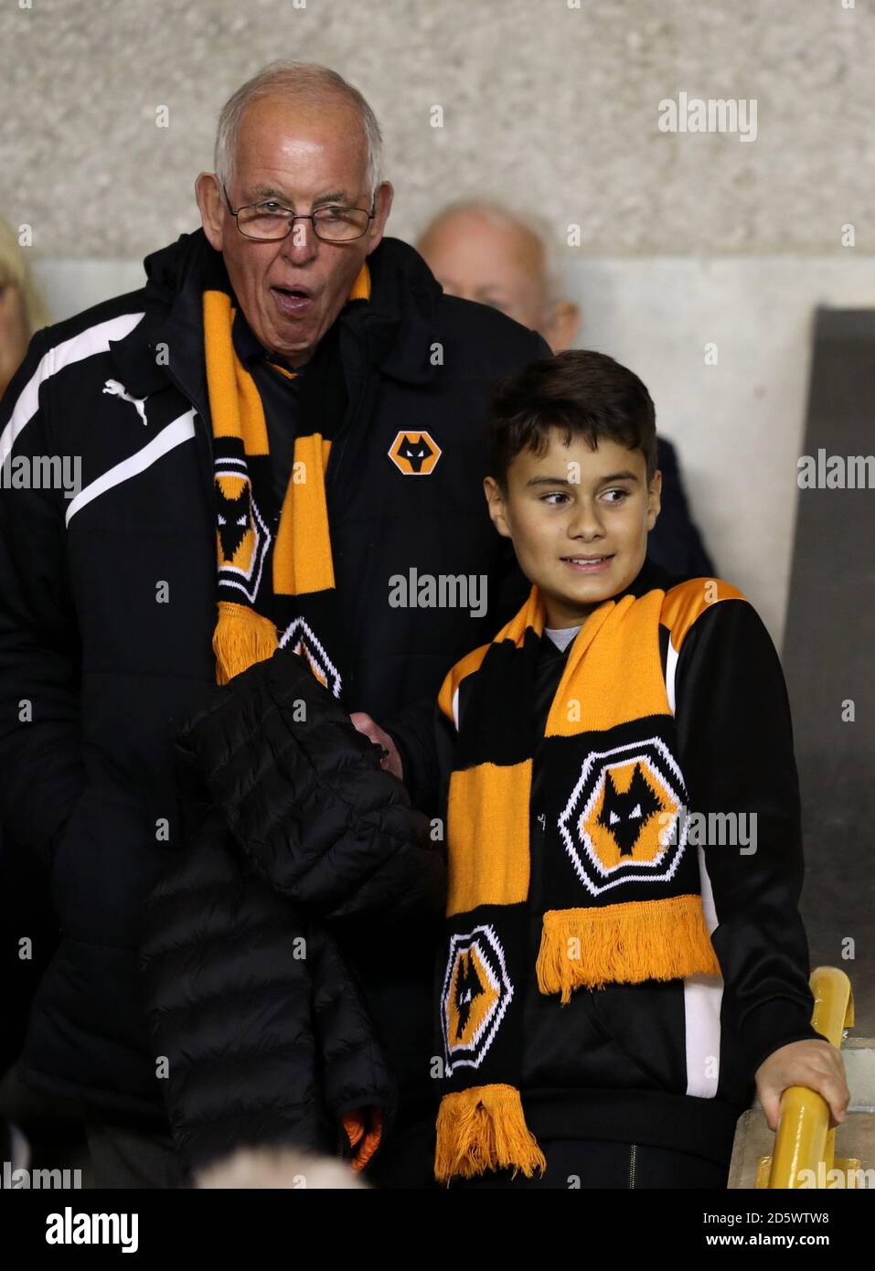 Wolverhampton Wanderers fans in the stands Stock Photo - Alamy