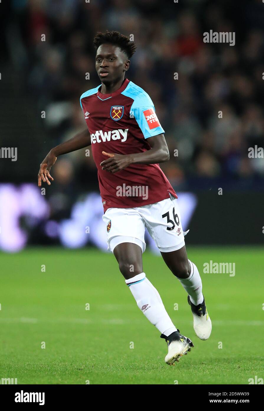 Quina quina hi-res stock photography and images - Alamy