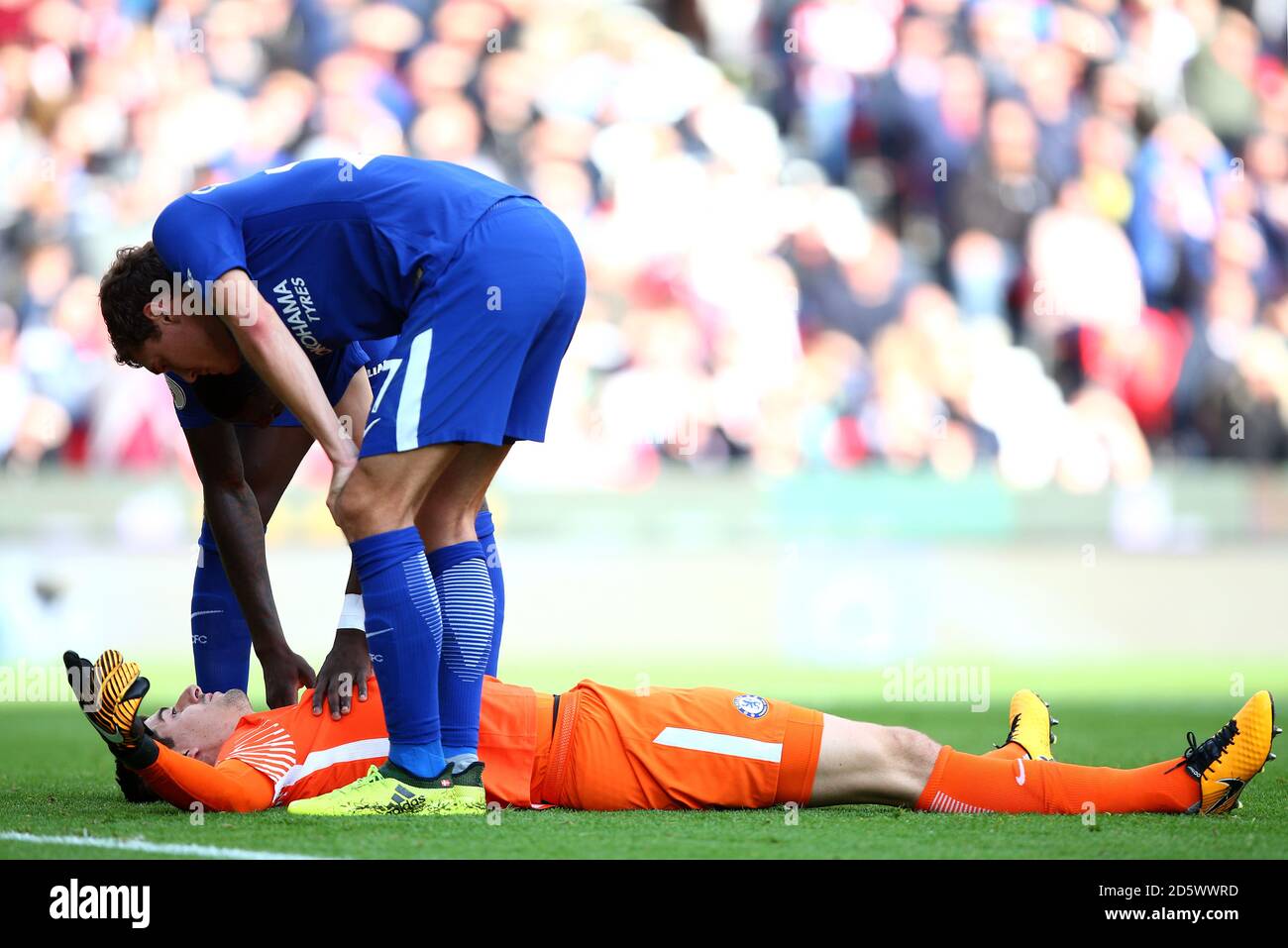 Chelsea goalkeeper Thibaut Courtois on the ground injured Stock Photo ...