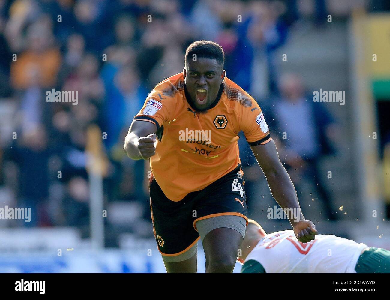 Wolverhampton Wanderers' Alfred N'Diaye celebrates after he scores his ...