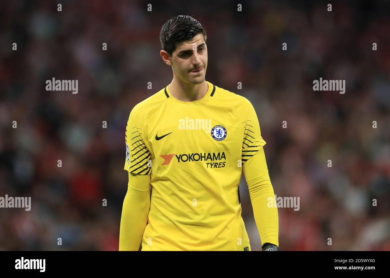 Chelsea goalkeeper Thibaut Courtois Stock Photo - Alamy