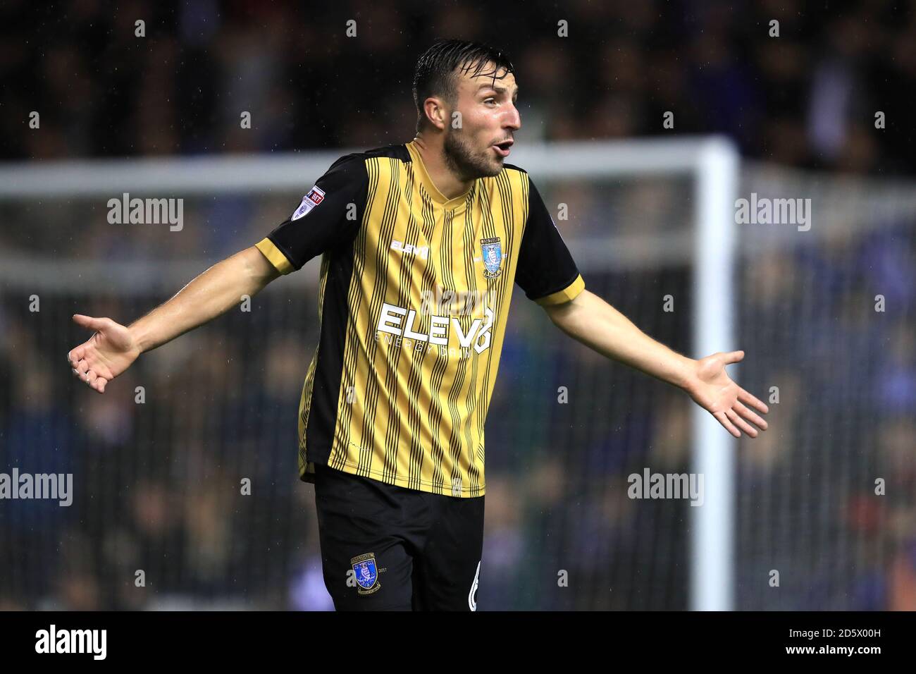 Morgan Fox, Sheffield Wednesday Stock Photo - Alamy