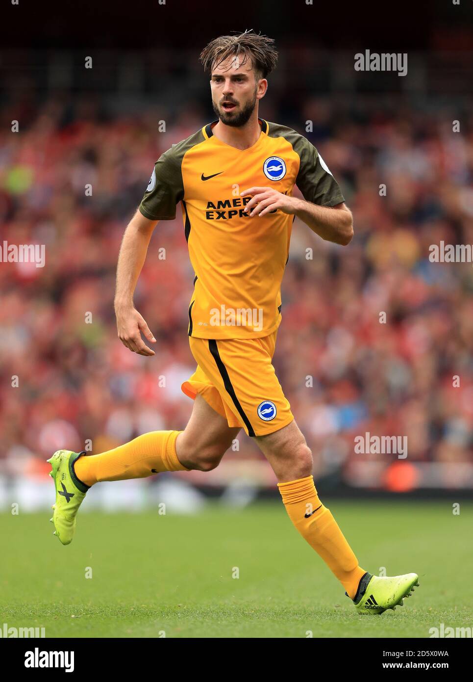 Brighton & Hove Albion's Davy Propper Stock Photo - Alamy