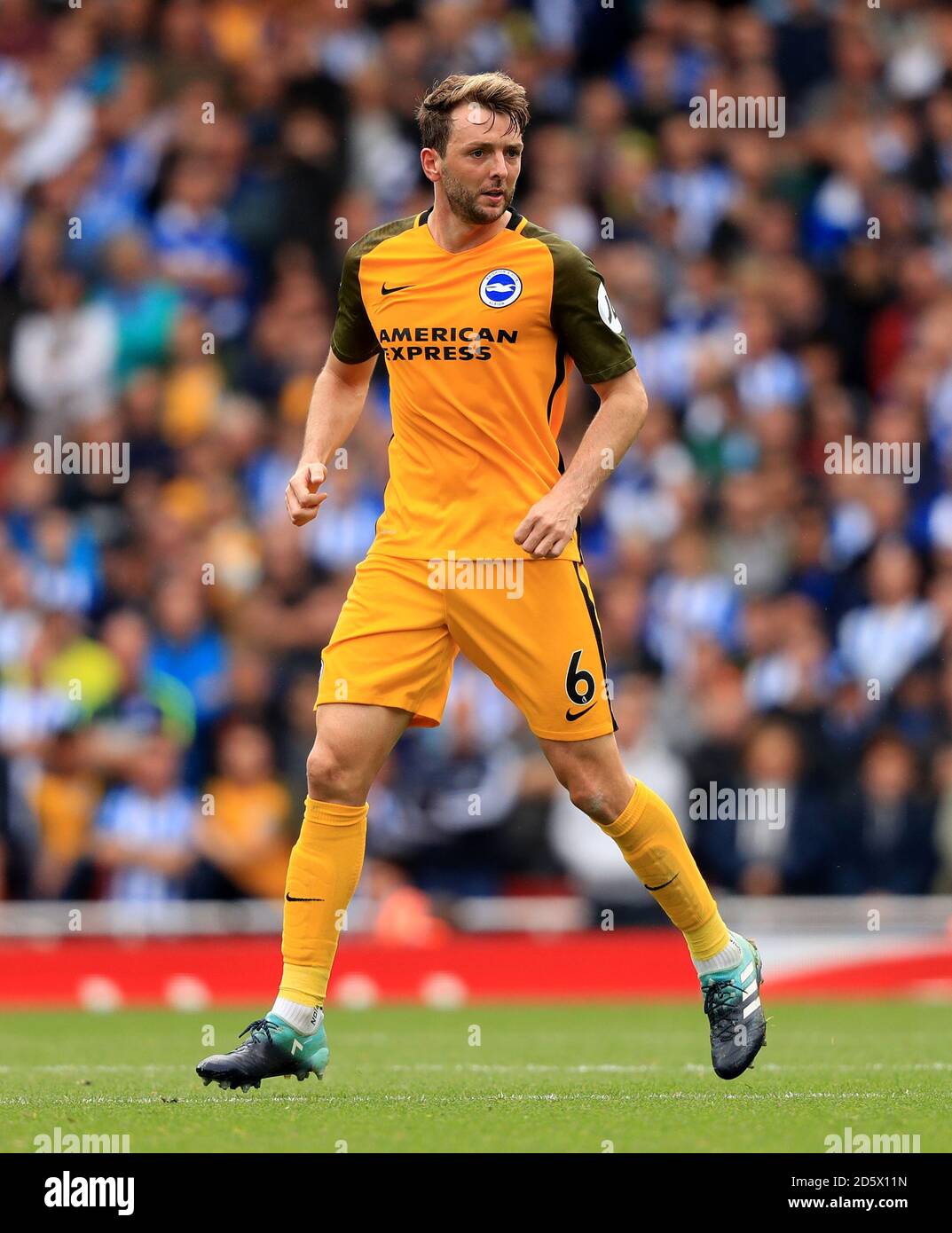 Brighton & Hove Albion's Dale Stephens Stock Photo - Alamy