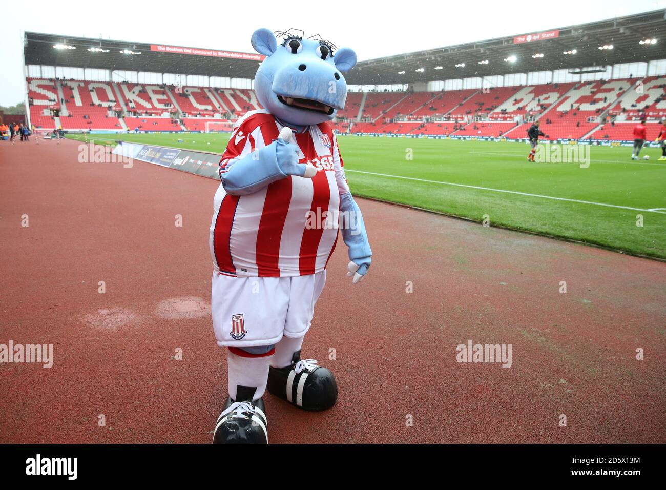 Stoke City mascot Pottermus the Hippo Stock Photo - Alamy