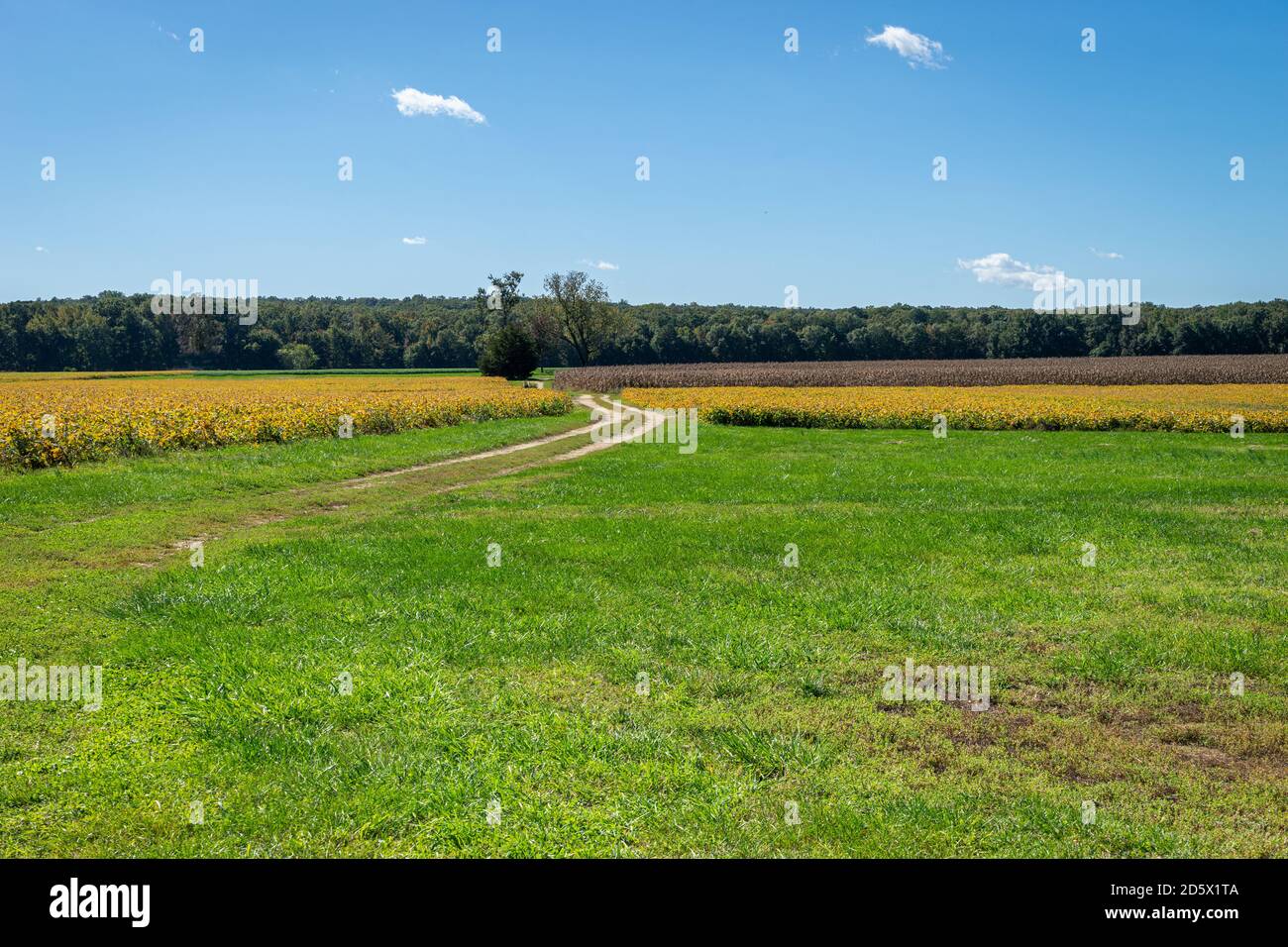 Wide open field hi-res stock photography and images - Alamy