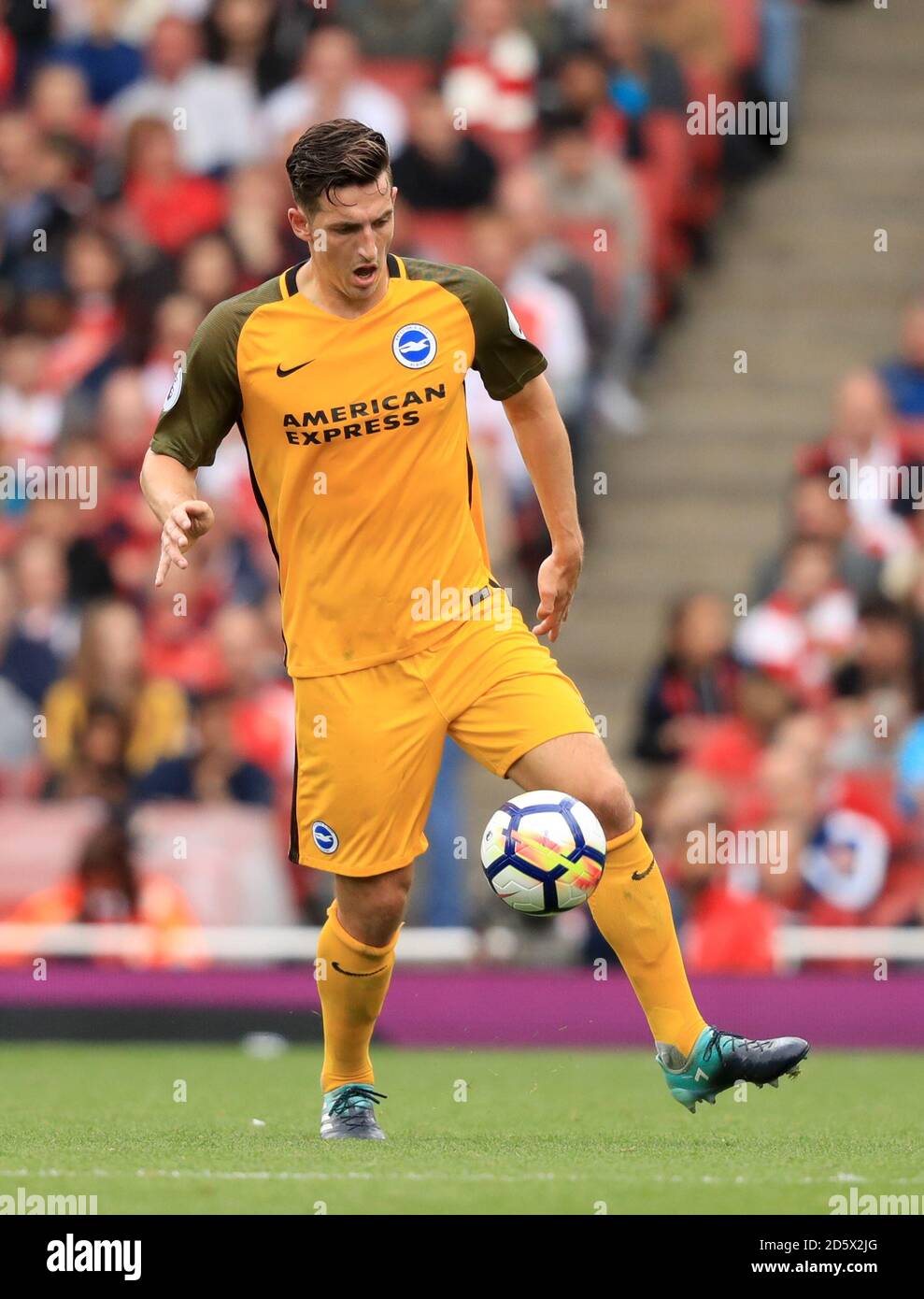 Brighton & Hove Albion's Lewis Dunk Stock Photo - Alamy