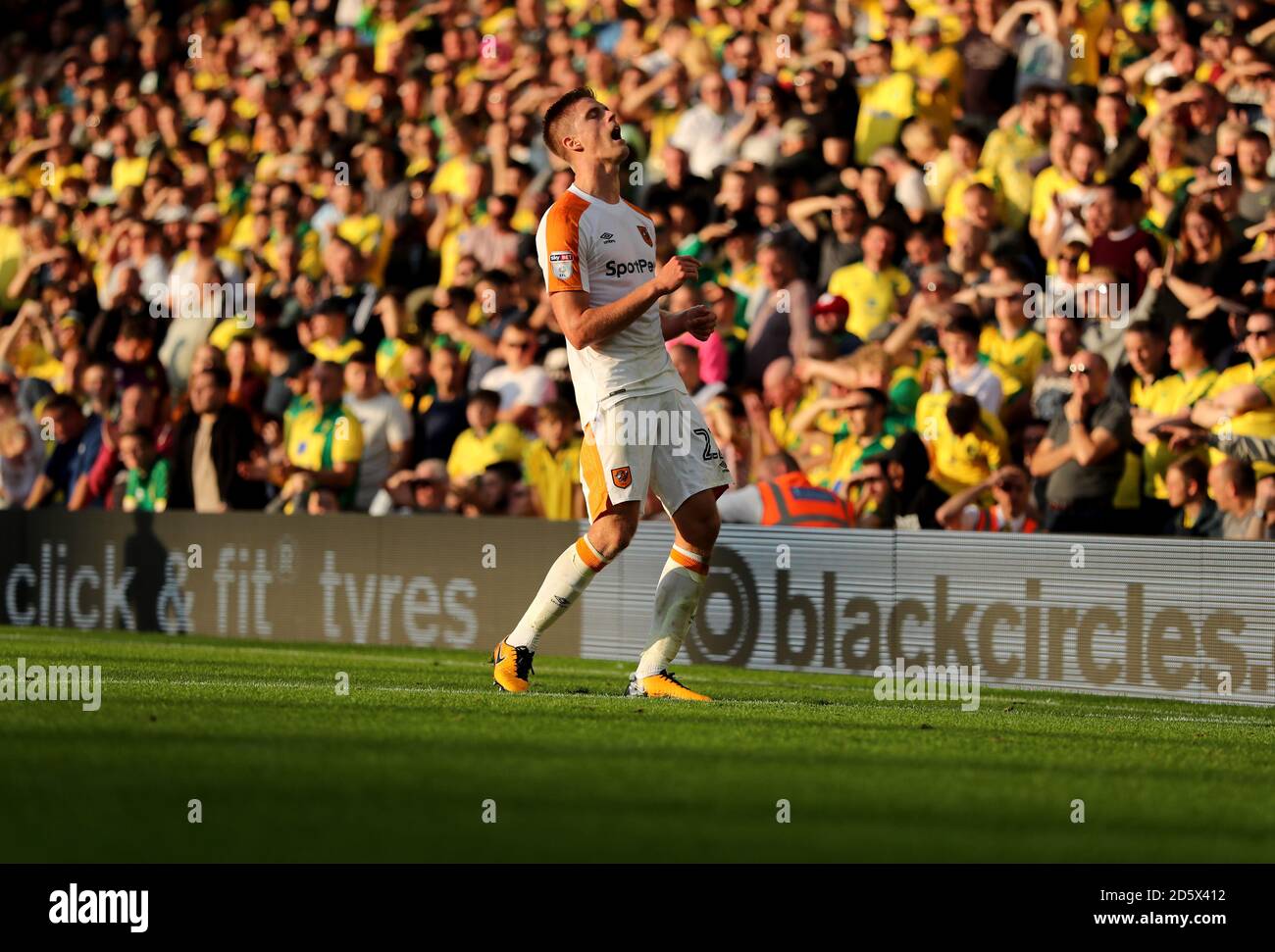 Hull City's Markus Henriksen Stock Photo - Alamy