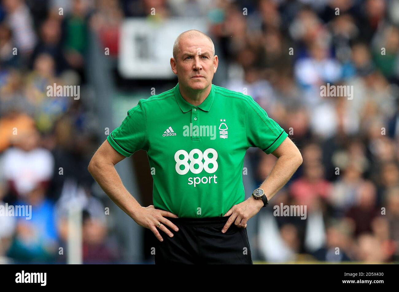 Mark warburton forest hi-res stock photography and images - Alamy