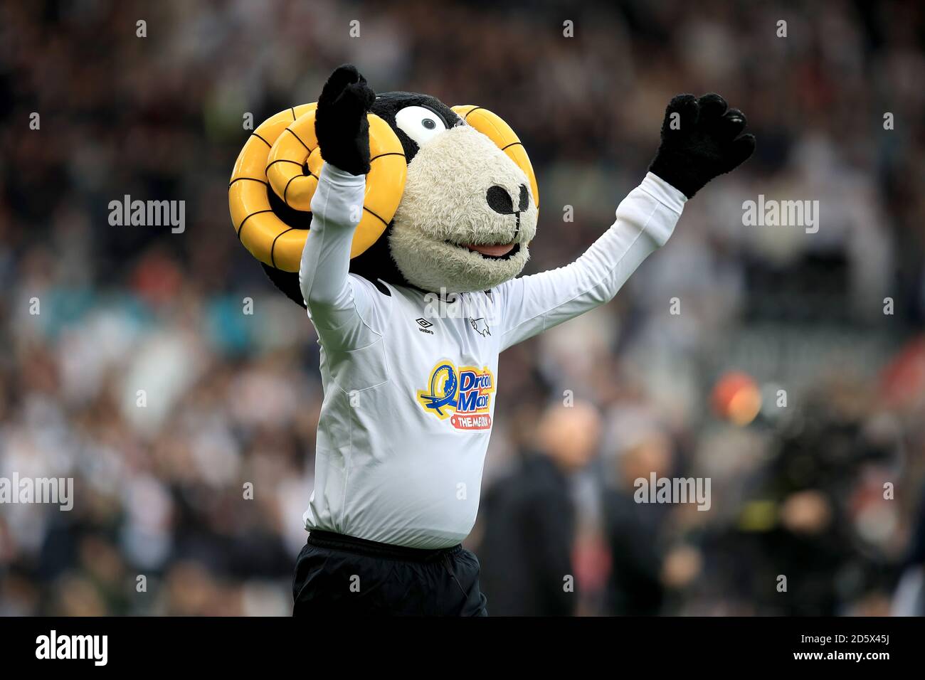 Derby county mascot hi-res stock photography and images - Alamy
