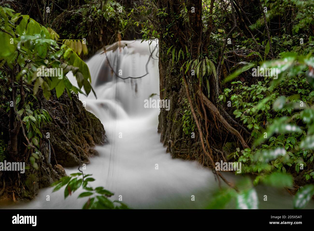 Small waterfall, stream, water flow in the jungle Stock Photo - Alamy