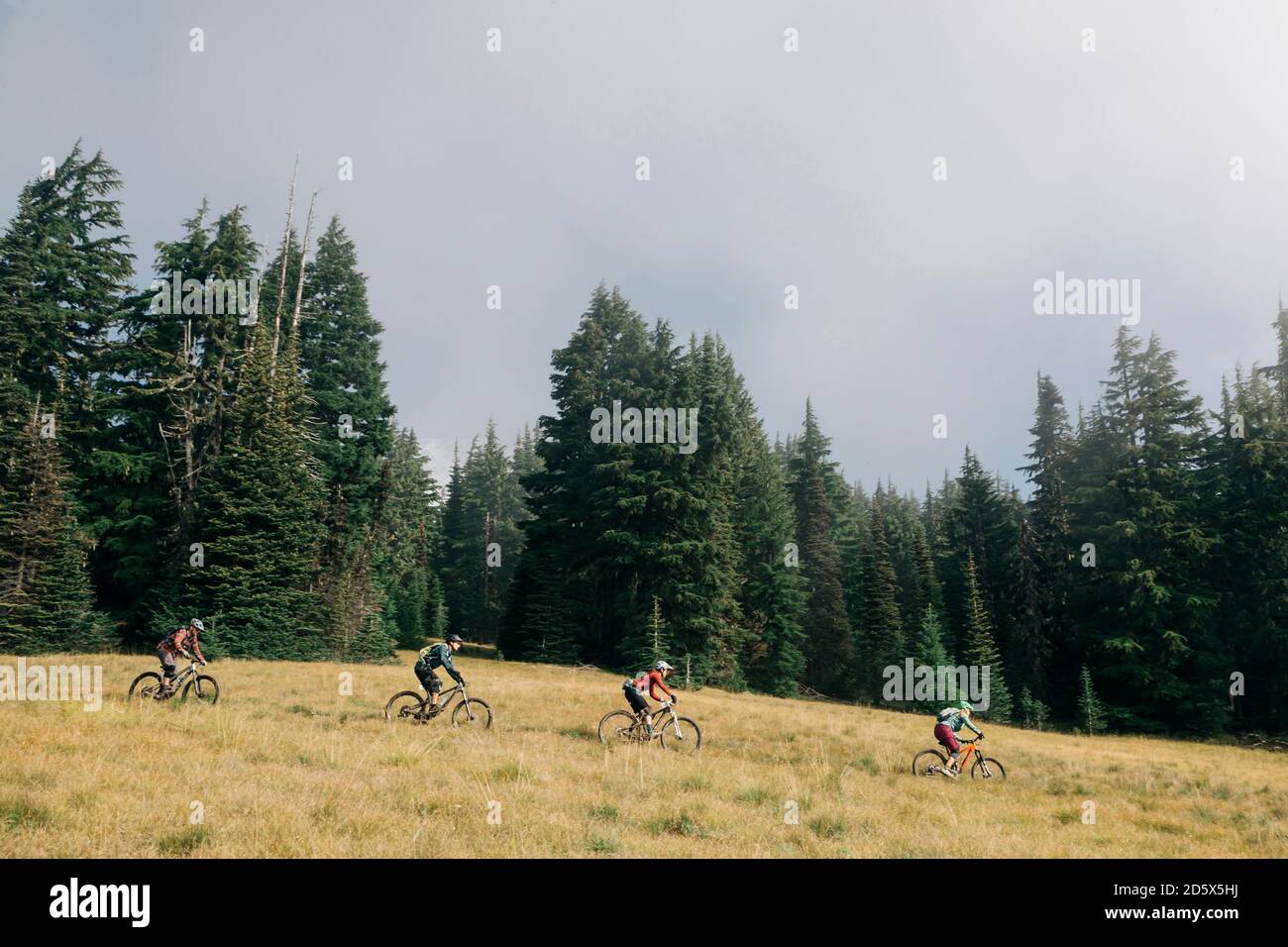 Four bikers ride through a meadow at Mt. Hood, Oregon Stock Photo - Alamy