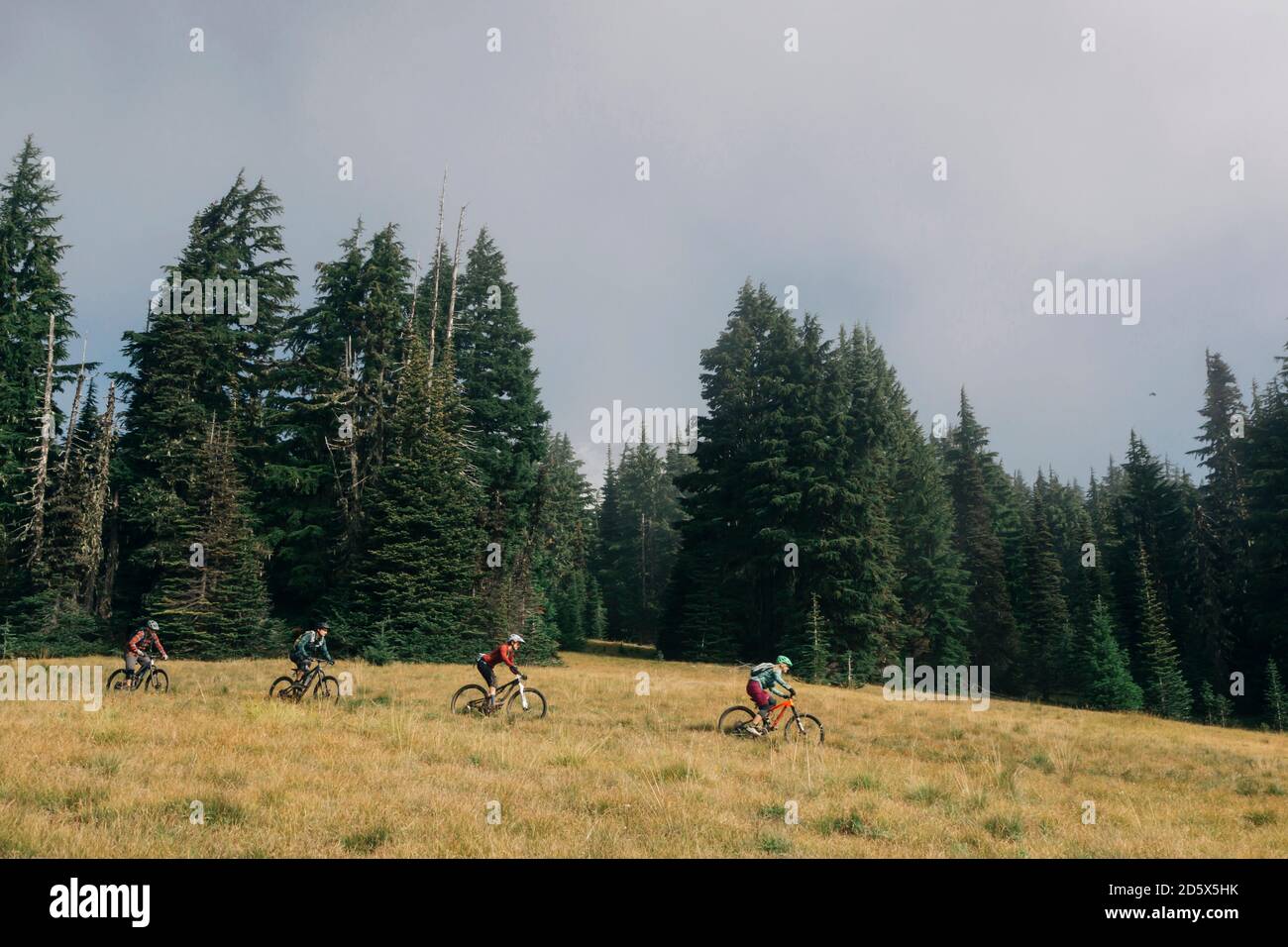 Mount hood mountain bike hi-res stock photography and images - Alamy