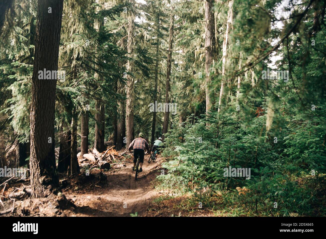 Two bikers ride the trails at a bike park on Mt. Hood, Oregon Stock ...