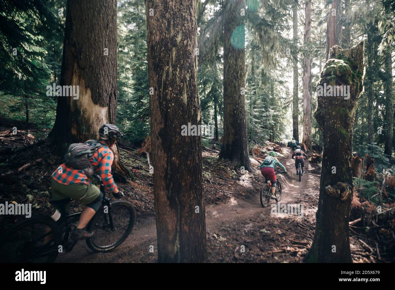 Four bikers ride through the forest at Mt. Hood, Oregon Stock Photo - Alamy
