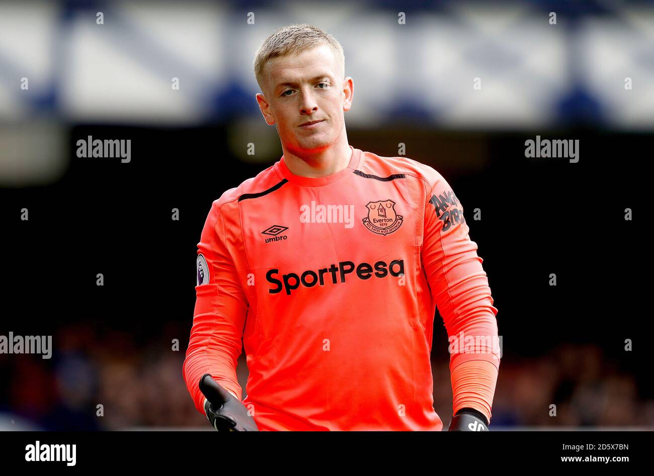 Everton goalkeeper Jordan Pickford Stock Photo - Alamy