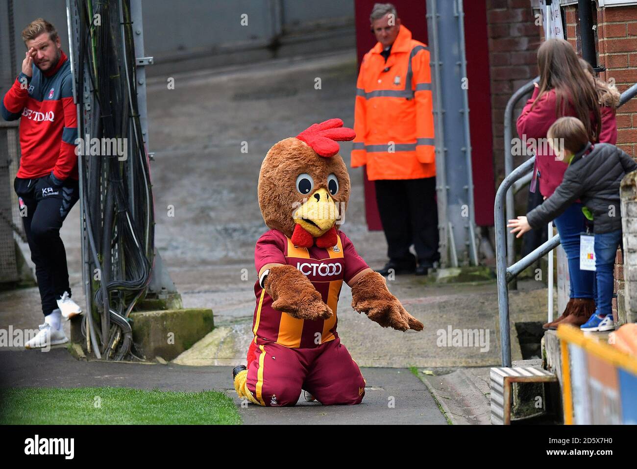 Bradford City mascot Billy Bantam Stock Photo - Alamy