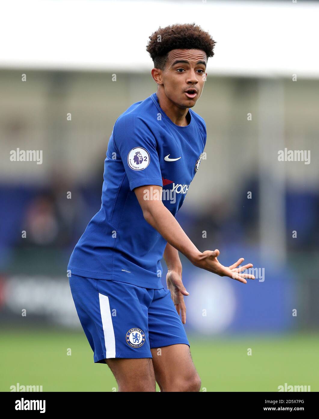 Jacob Maddox, Chelsea Stock Photo - Alamy