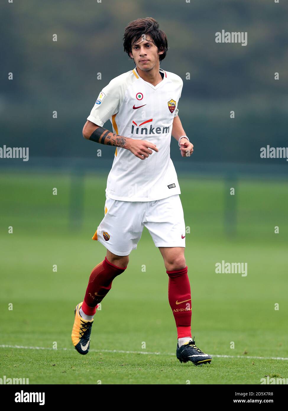 Antonucci hi-res stock photography and images - Alamy