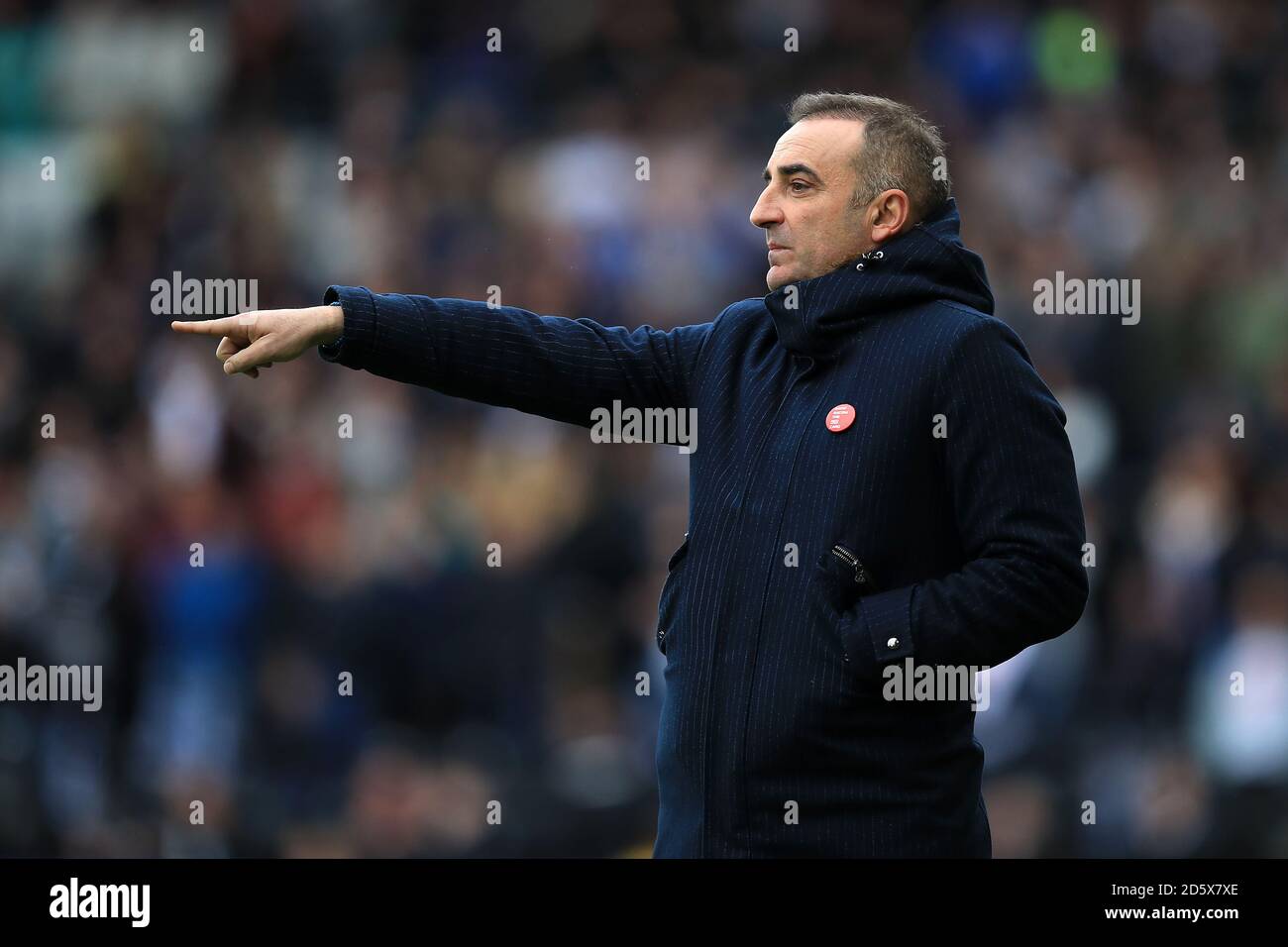 Sheffield Wednesday manager Carlos Carvalhal Stock Photo - Alamy