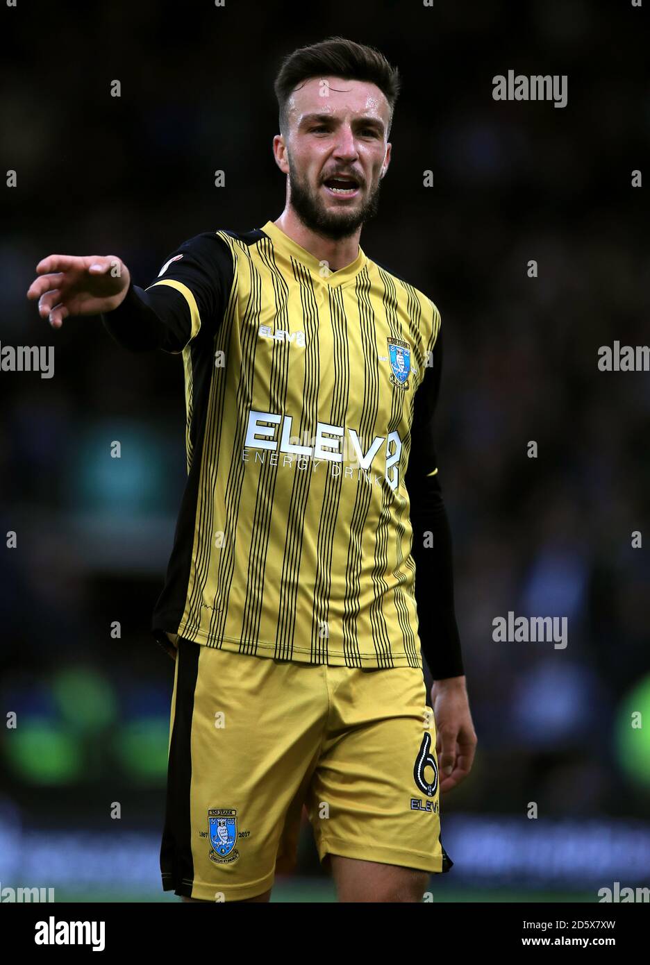 Morgan Fox, Sheffield Wednesday Stock Photo - Alamy