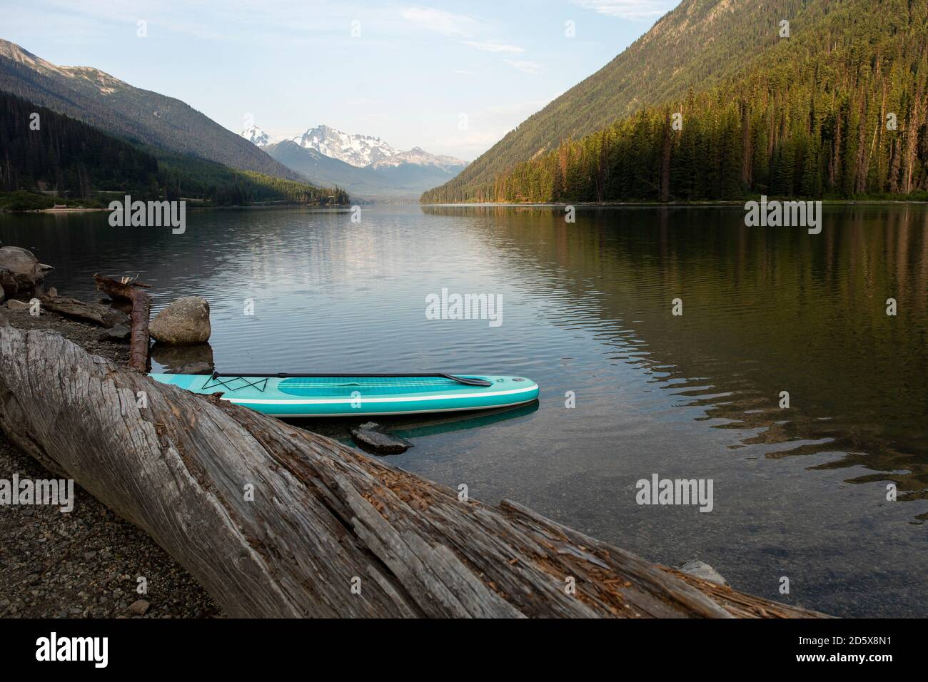 Modern paddleboard on shore of lake Stock Photo - Alamy