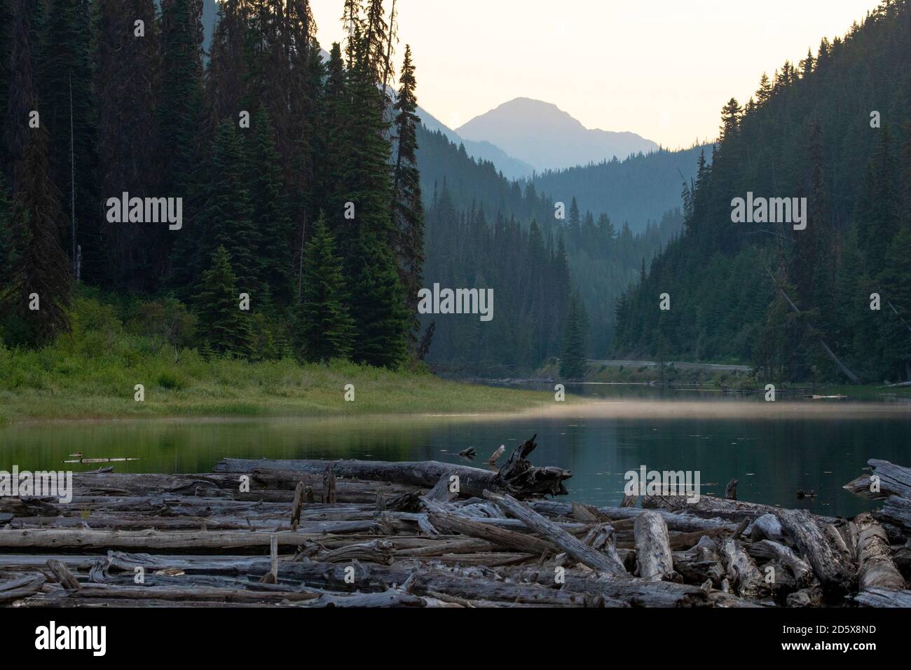 Amazing view of Duffey Lake with calm water surrounded by coniferous ...