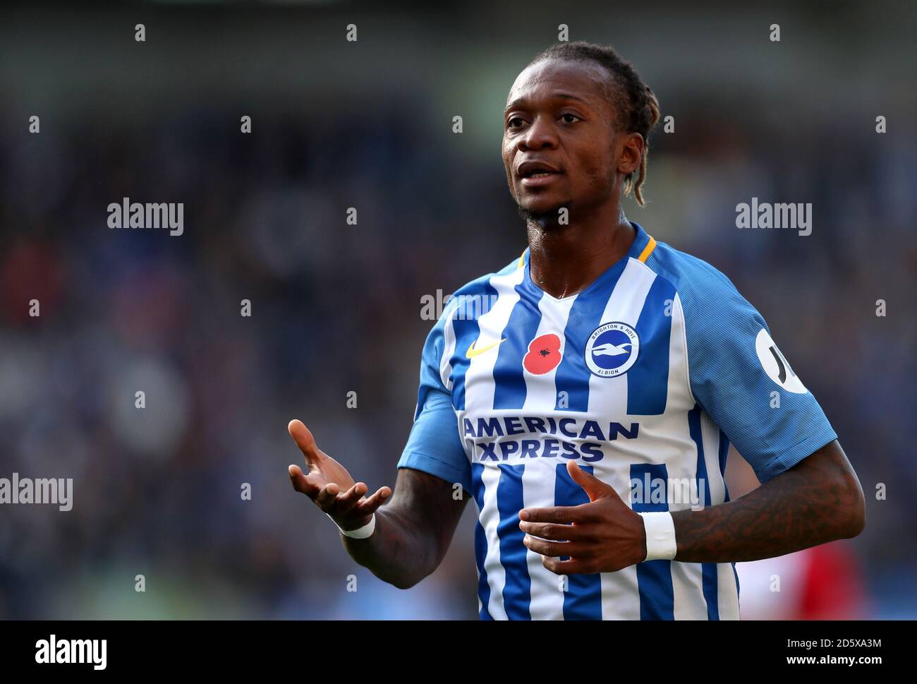 Brighton & Hove Albion's Gaetan Bong Stock Photo - Alamy