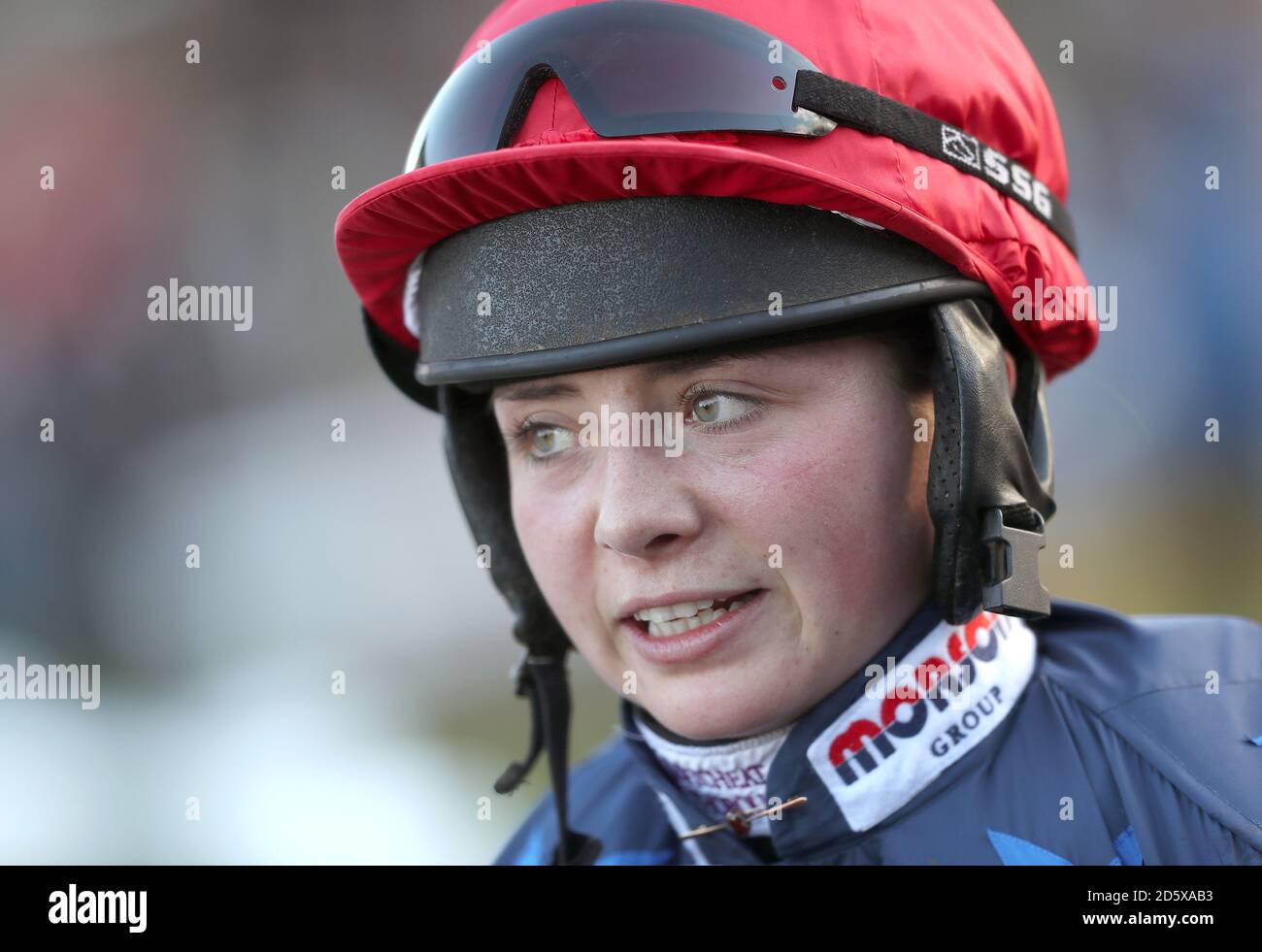 Black corton horse hi-res stock photography and images - Alamy