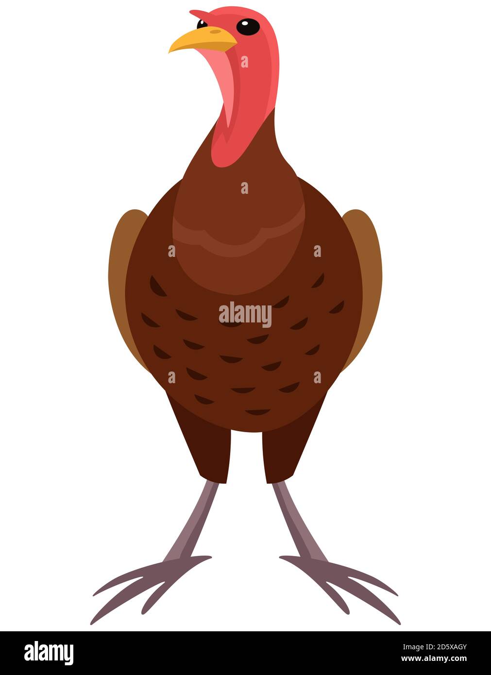 Turkey front view. Farm animal in cartoon style Stock Vector Image ...