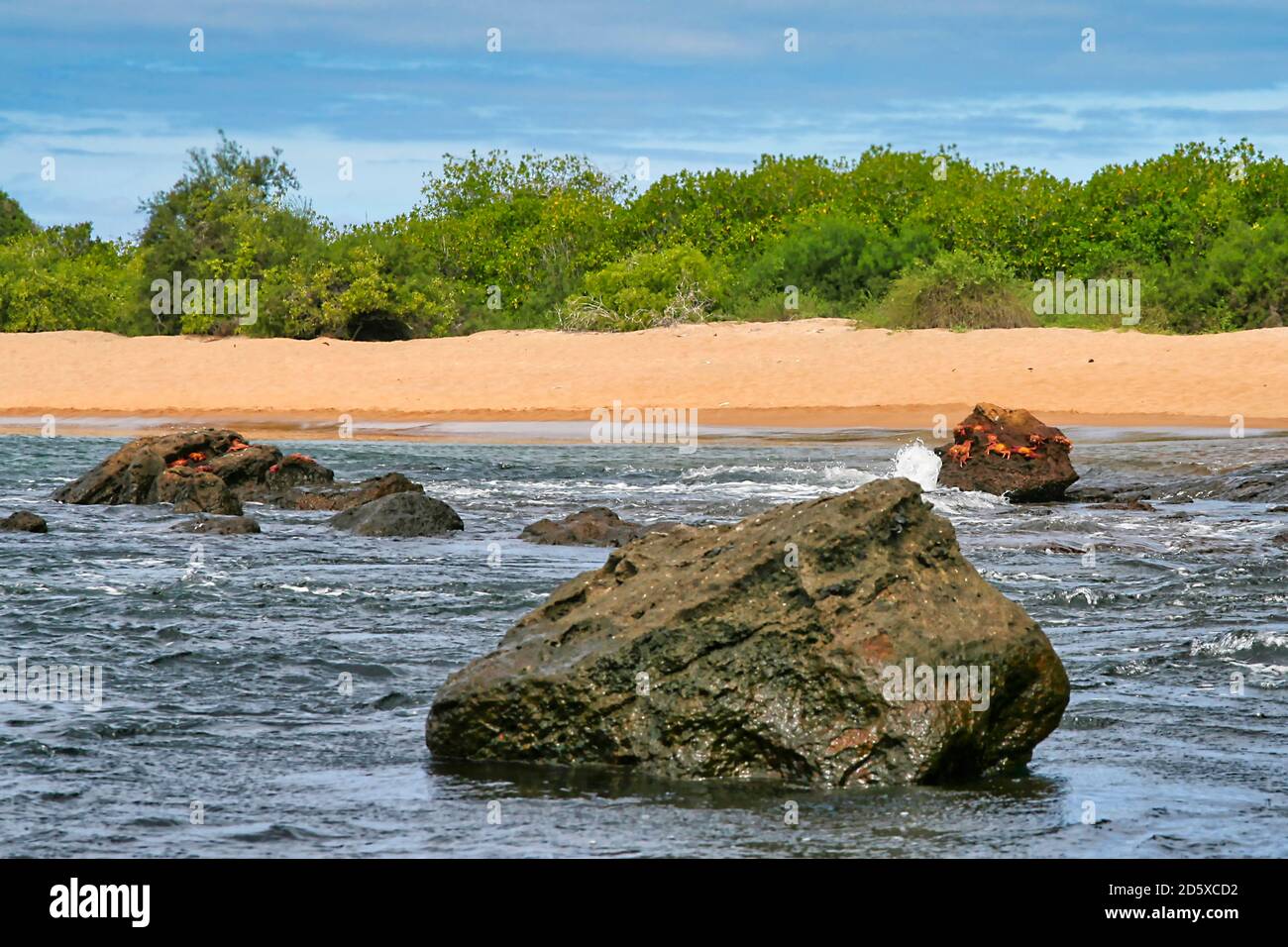 Galápagos Islands, Galápagos National Park, UNESCO World Heritage Site ...