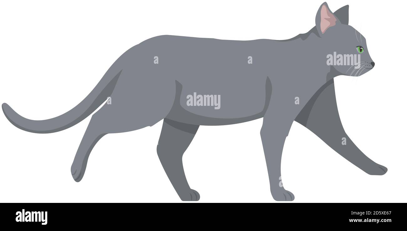 Cat russian blue Stock Vector Images - Alamy