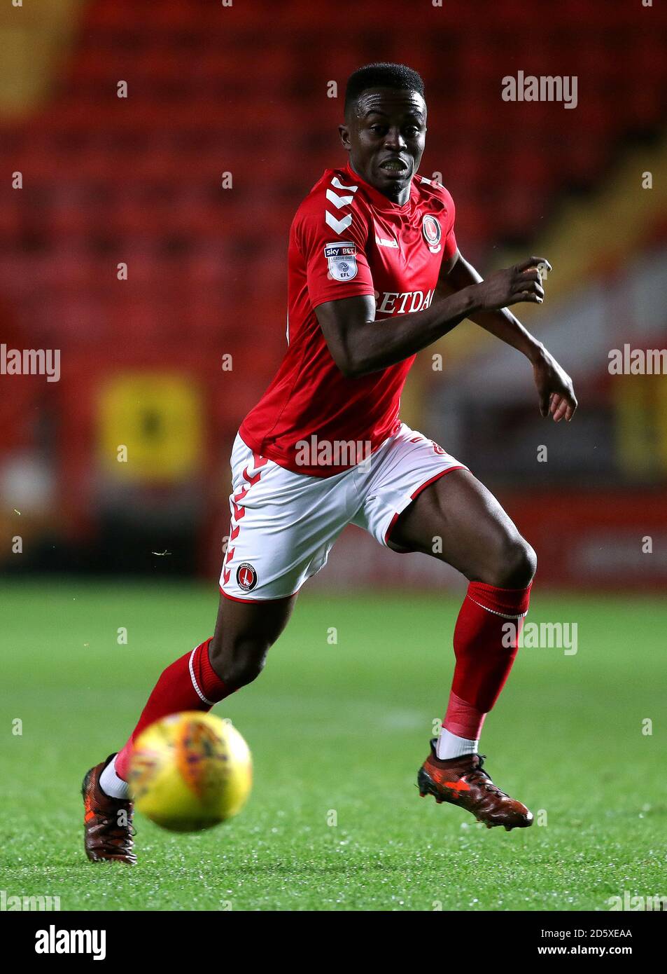 Joe dodoo hi-res stock photography and images - Alamy