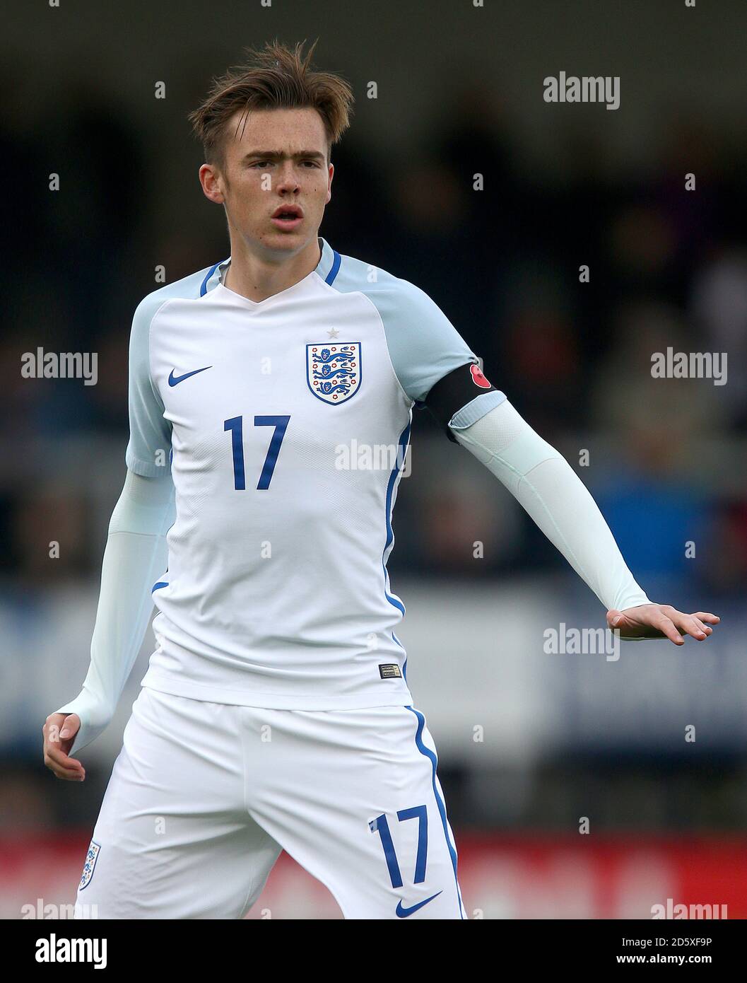 Jack nolan hi-res stock photography and images - Alamy