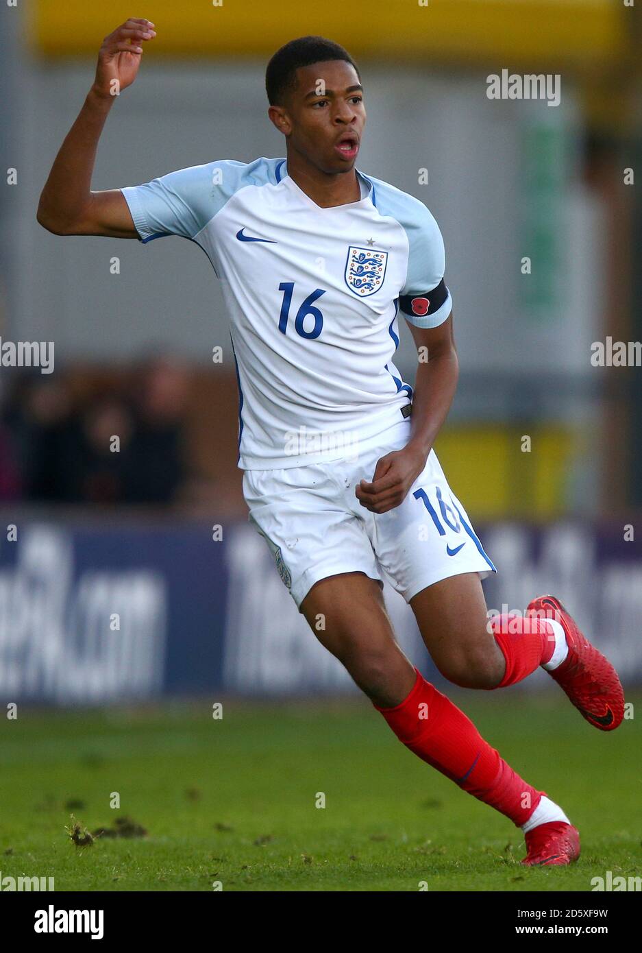 England's Elijah Dixon-Bonner Stock Photo - Alamy