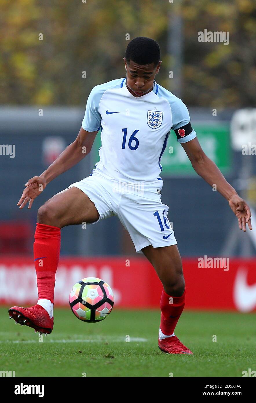 England's Elijah Dixon-Bonner Stock Photo - Alamy