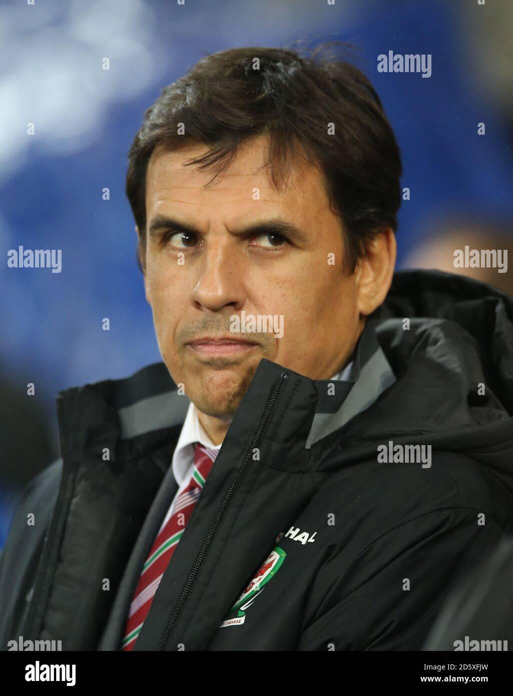 Chris coleman football portrait hi-res stock photography and images - Alamy