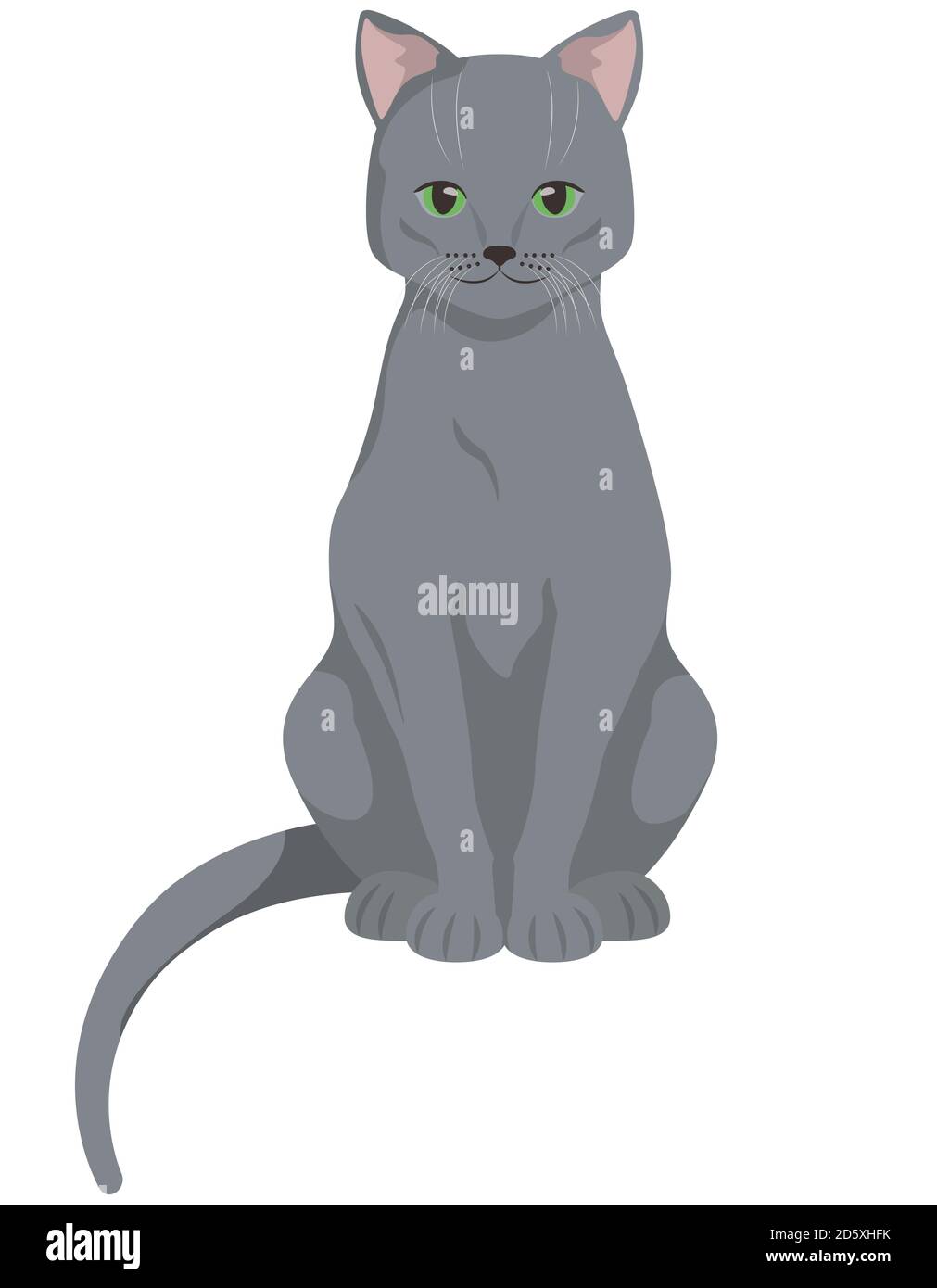 Sitting Russian Blue cat. Beautiful pet in cartoon style Stock Vector ...