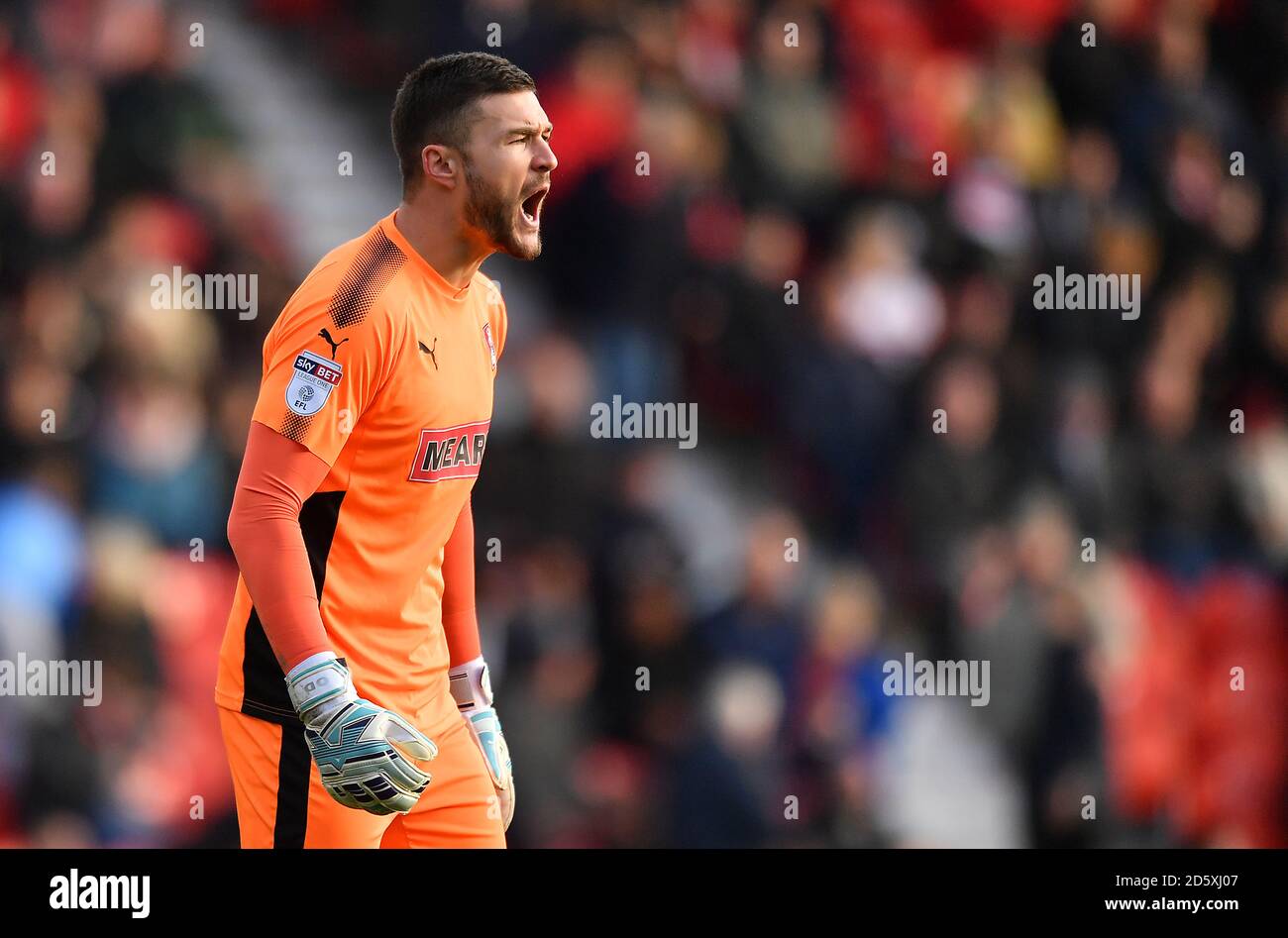 Rotherham United goalkeeper Richard O'Donnell Stock Photo - Alamy