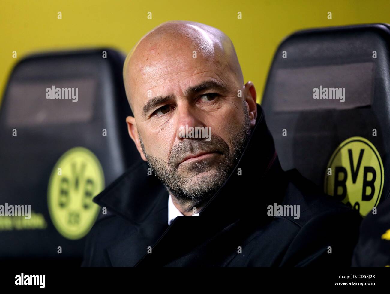 Borussia Dortmund manager Peter Bosz Stock Photo - Alamy