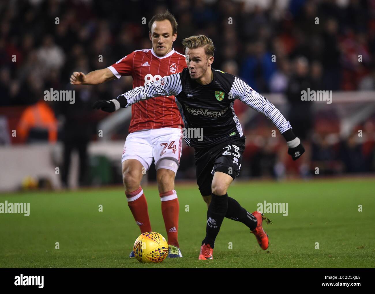 Nottingham Forest's David Vaughan (left) and Norwich City's James ...
