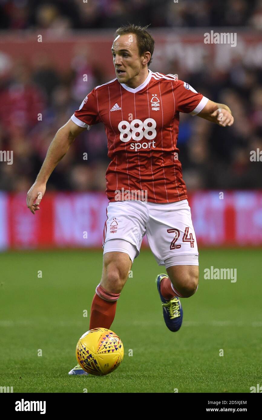 David vaughan forest hi-res stock photography and images - Alamy