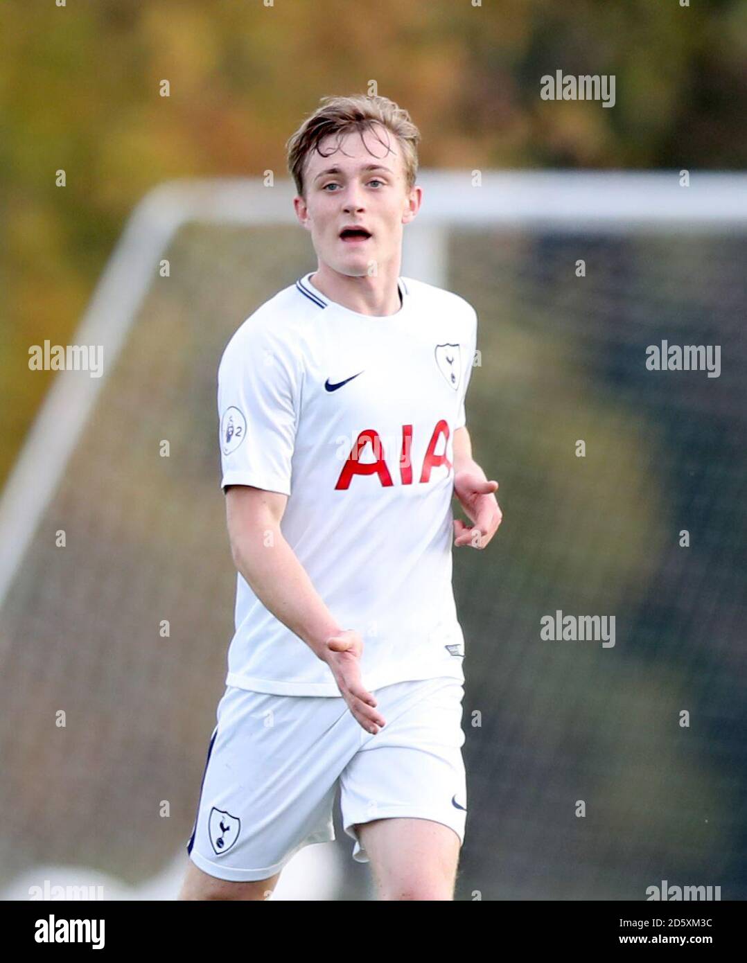 Oliver skipp tottenham hi-res stock photography and images - Alamy