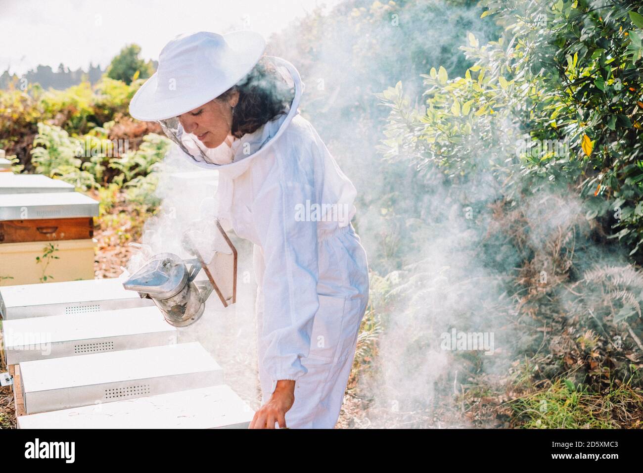 Young woman beekeeper at work in a nature Stock Photo - Alamy