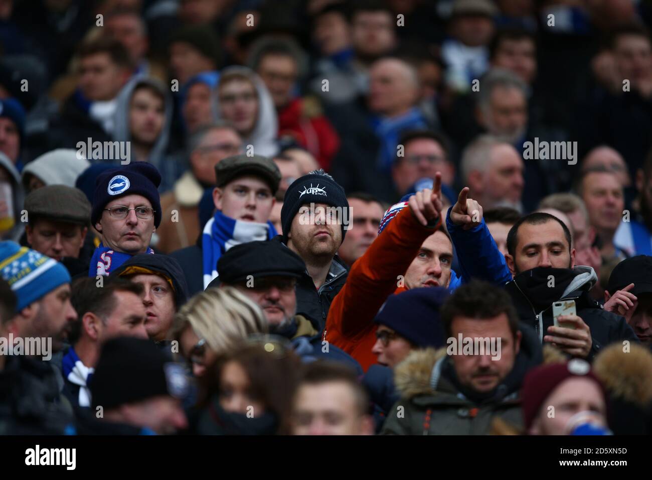 Brighton & Hove Albion fans Stock Photo - Alamy
