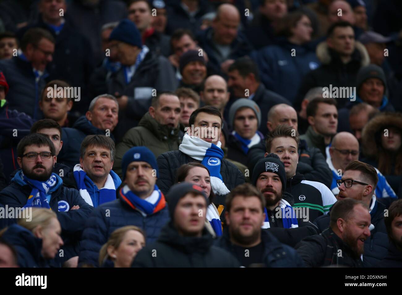 Brighton & Hove Albion fans Stock Photo - Alamy